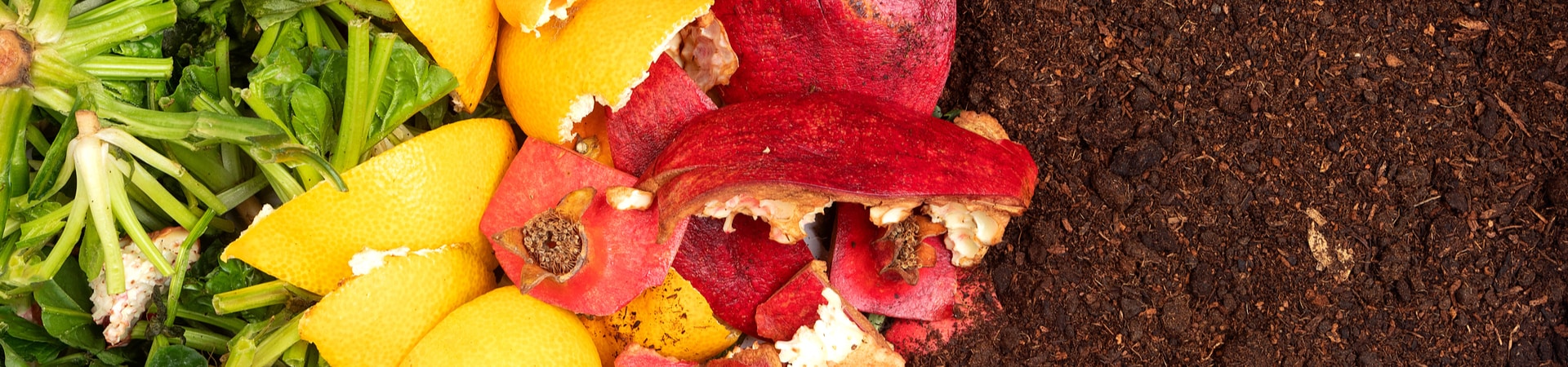 ¿Qué es la gestión de mermas y cómo implementarlo?